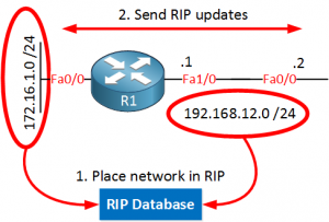 How to configure RIP on a Cisco router