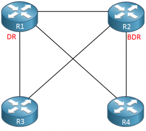 How to read the OSPF Database