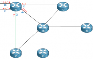 How to read the OSPF Database