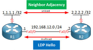 MPLS LDP (Label Distribution Protocol)