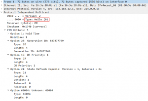 Multicast PIM Dense Mode