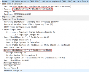 Spanning Tree Reconvergence