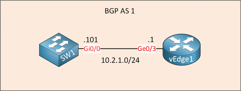 Cisco SD-WAN BGP Configuration